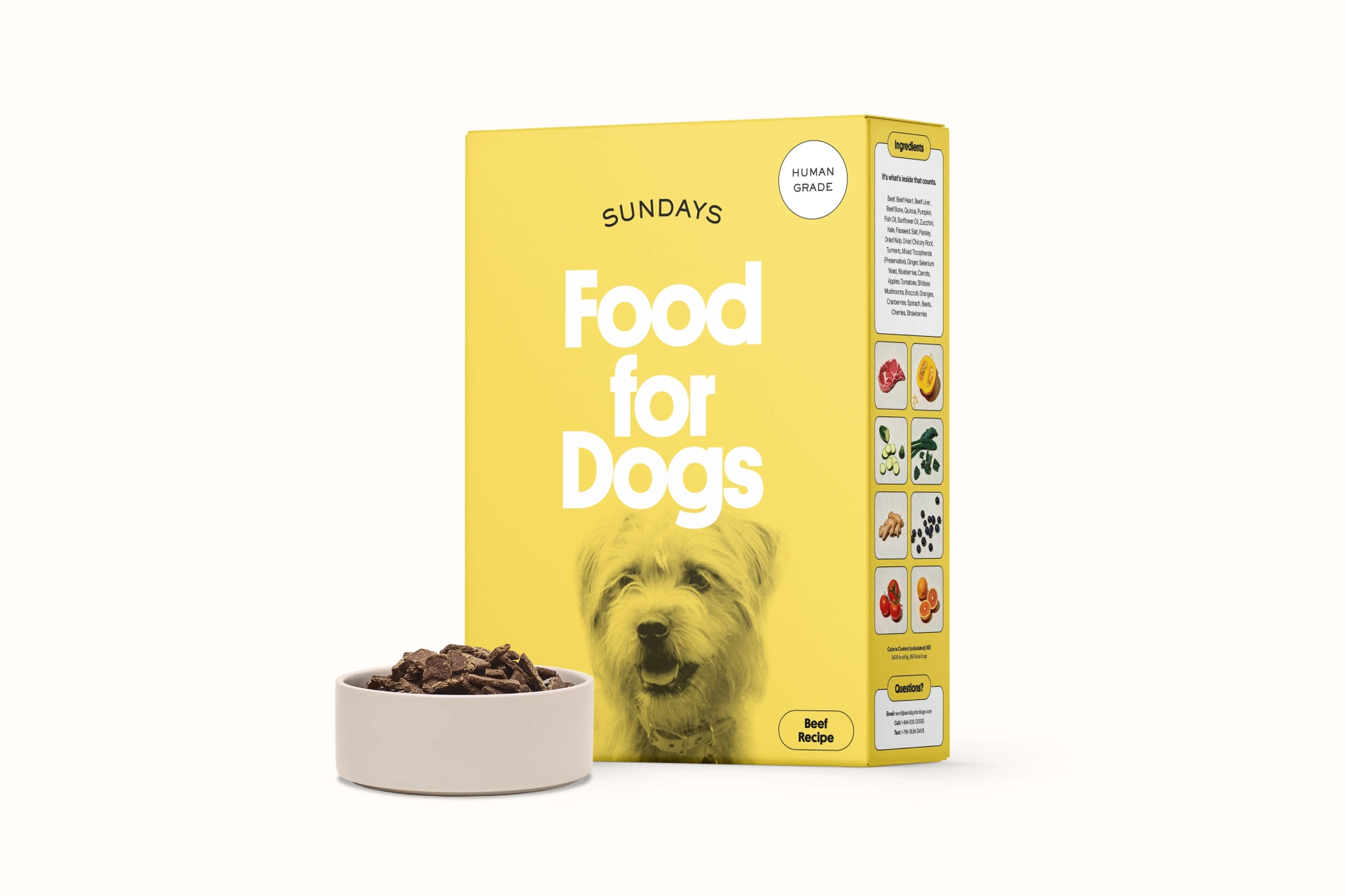 Human Grade Dog Food Beef Recipe Sundays Food For Dogs